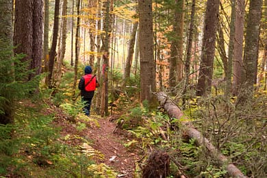 Kentucky State Parks Go Mobile with Interactive Maps and Challenges ...