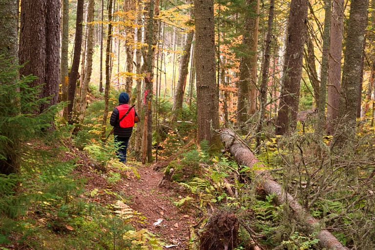 Kentucky State Parks Go Mobile with Interactive Maps and Challenges ...