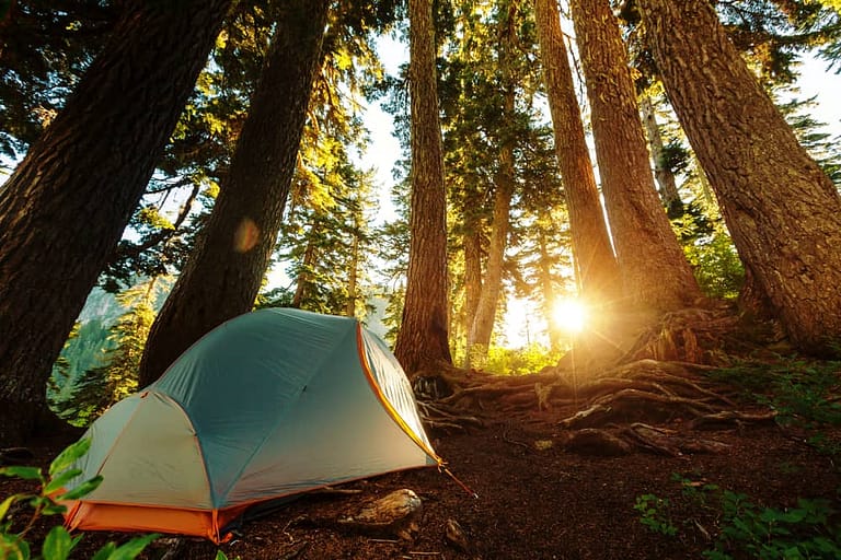 B.C. Parks to Introduce Out-of-Province Camping Surcharge and Raise ...